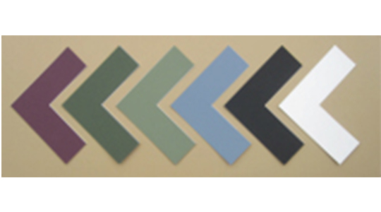 Conservation – Lion India